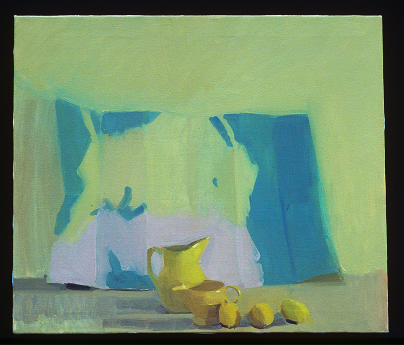 Ann Feitelson Quilt Artist